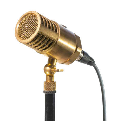 Wanda Microphone | Gotham Sound