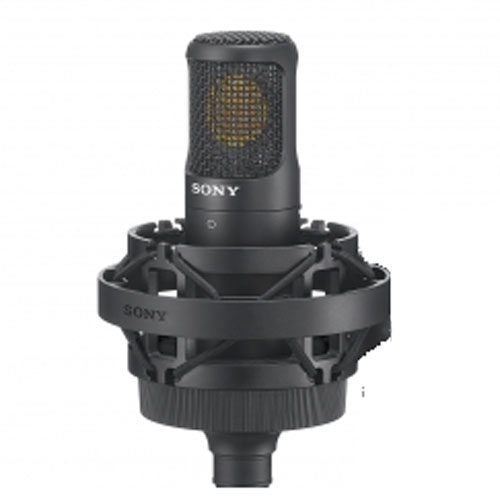 C-80 Unidirectional Condenser Microphone | Gotham Sound